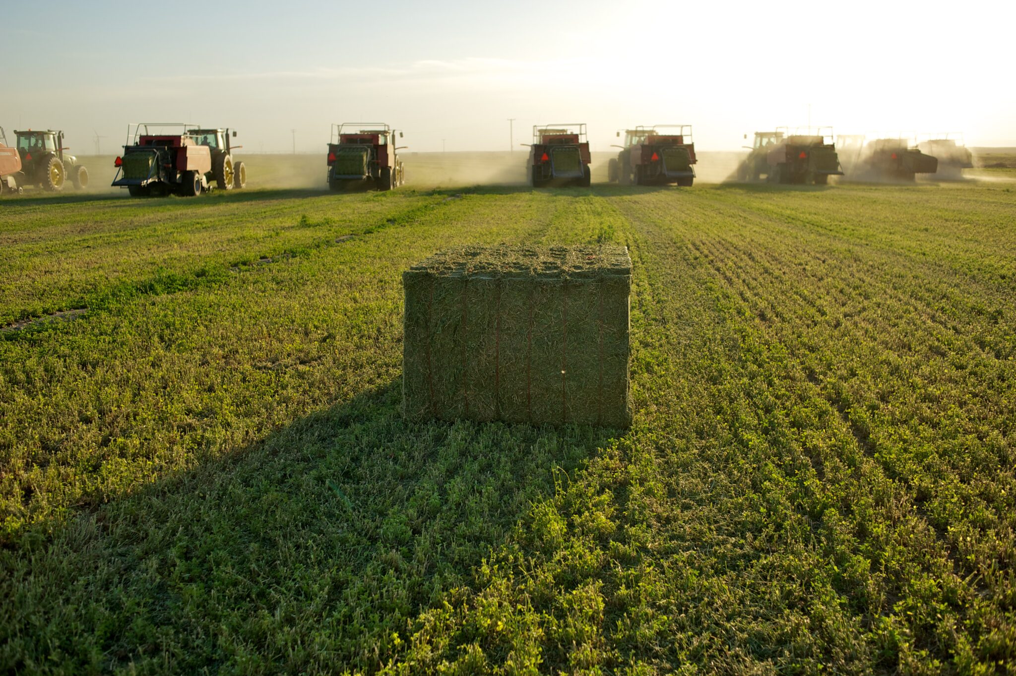 Company - Pacific Ag